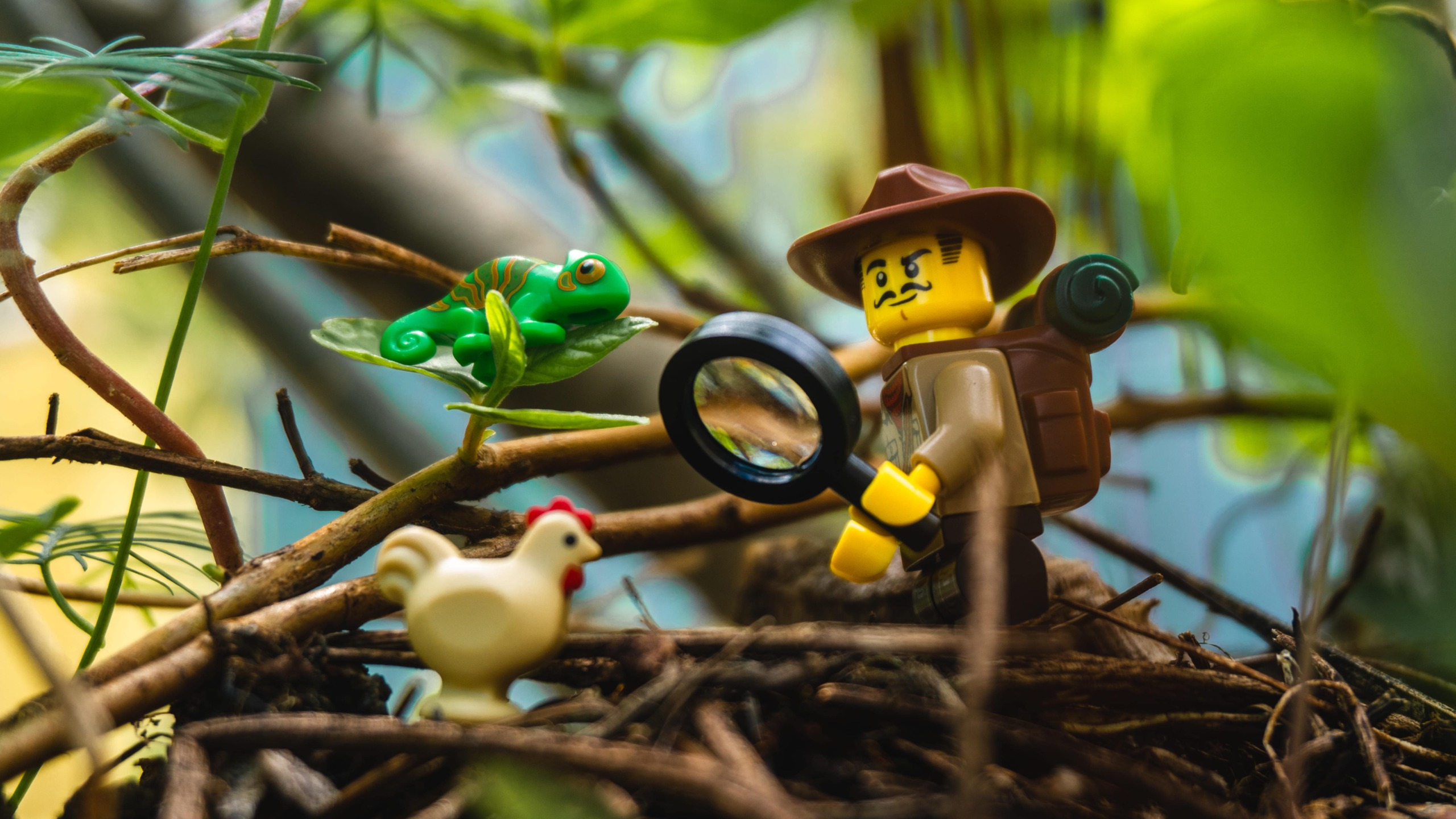 ¿En qué consiste la estrategia Evalúo la credibilidad? – VOCA Editorial